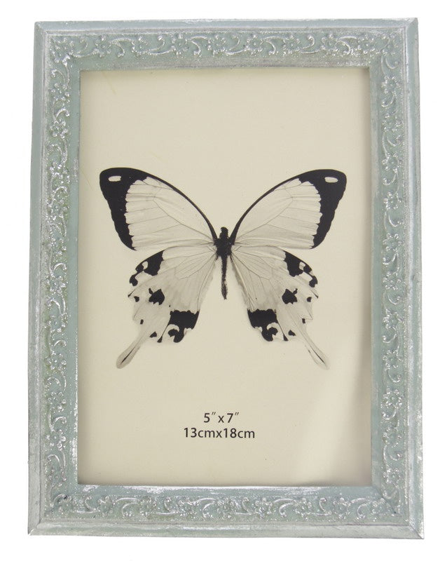 Photo Frame - Blue Trailing Daisy 5x7" – Fi's Flowers N Art